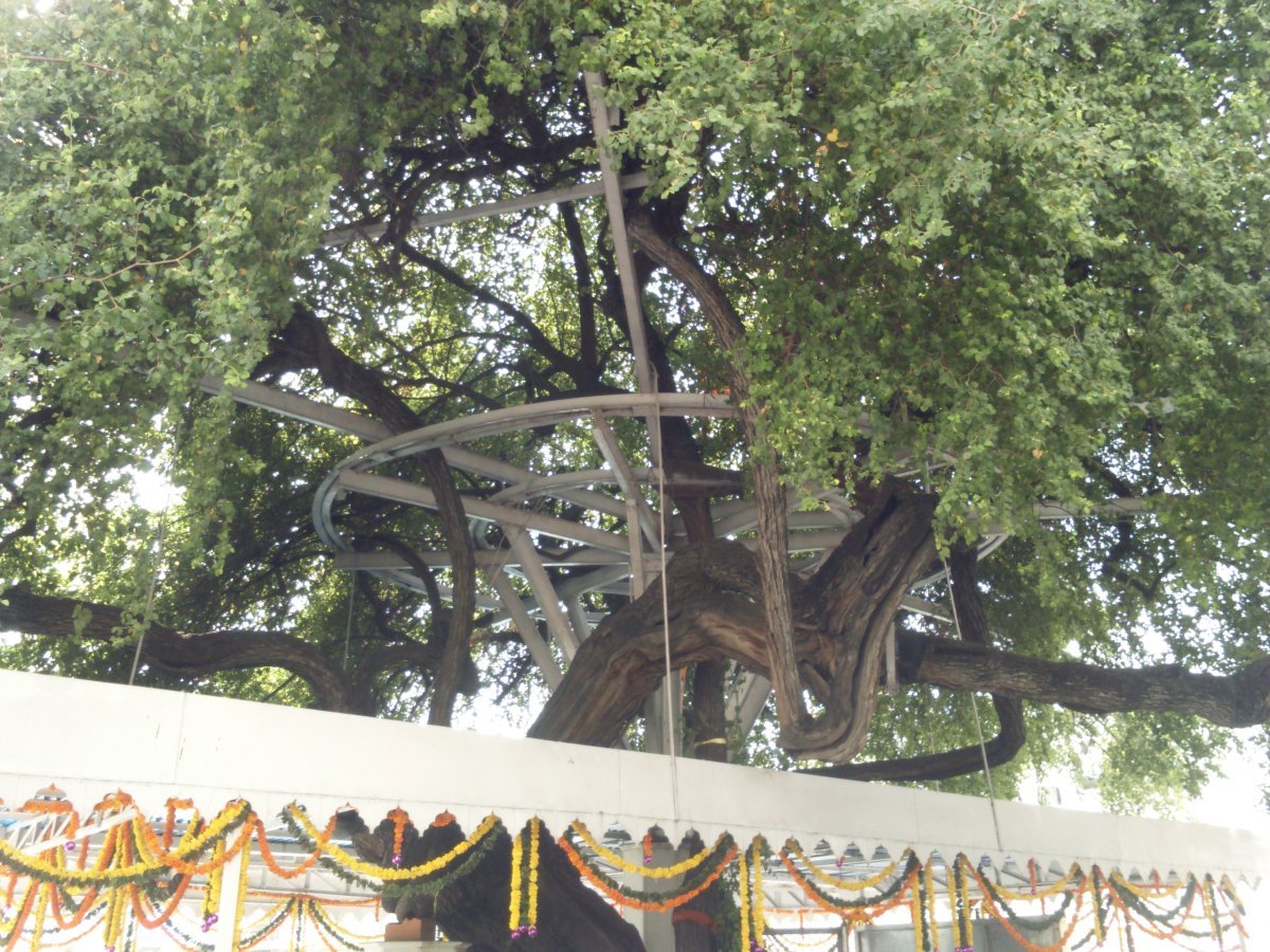 Historic Place Of Beri Baba Budha | Discover Sikhism